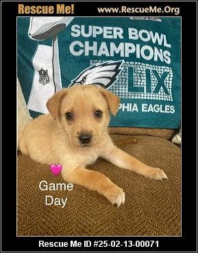 - Delaware Dog Rescue - ADOPTIONS - Rescue Me!