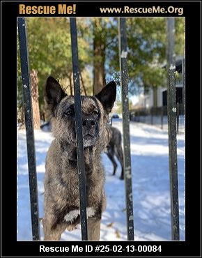 - South Carolina Dog Rescue - ADOPTIONS - Rescue Me!