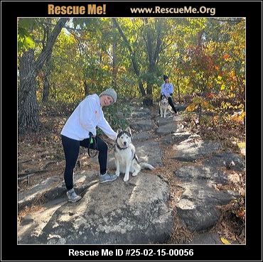 - Illinois Dog Rescue - ADOPTIONS - Rescue Me!