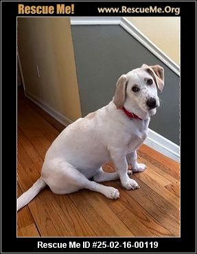 - New York Dog Rescue - ADOPTIONS - Rescue Me!