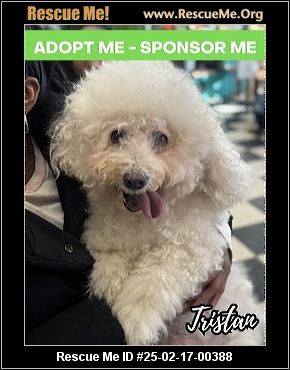 - Illinois Dog Rescue - ADOPTIONS - Rescue Me!