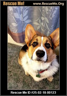 - West Virginia Dog Rescue - ADOPTIONS - Rescue Me!