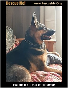 - Pennsylvania German Shepherd Rescue - ADOPTIONS - Rescue Me!