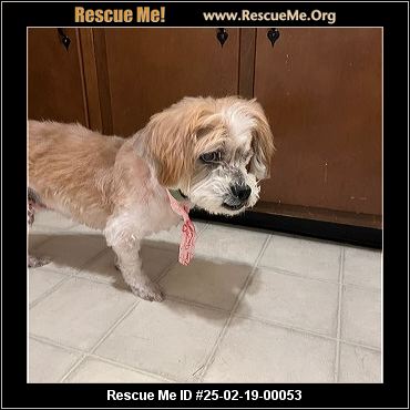 - Delaware Dog Rescue - ADOPTIONS - Rescue Me!