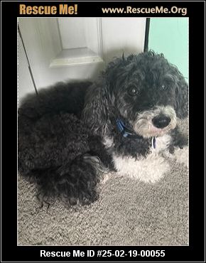 - Delaware Dog Rescue - ADOPTIONS - Rescue Me!