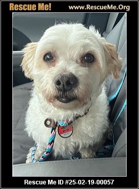 - Delaware Dog Rescue - ADOPTIONS - Rescue Me!