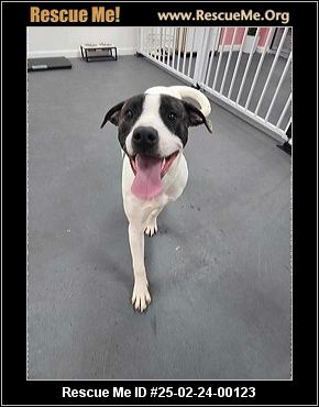 - New York Dog Rescue - ADOPTIONS - Rescue Me!