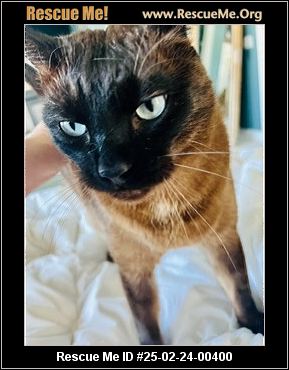 - Wisconsin Cat Rescue - ADOPTIONS - Rescue Me!