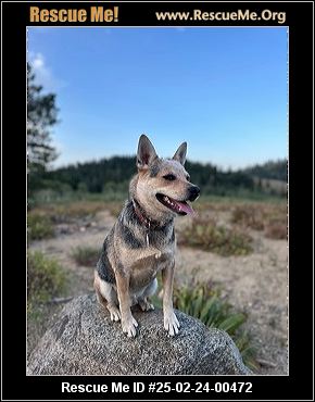 - Utah Dog Rescue - ADOPTIONS - Rescue Me!