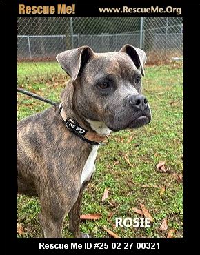 - Georgia Boxer Rescue - ADOPTIONS - Rescue Me!