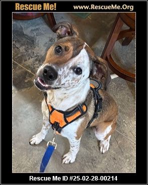 - Kentucky Dog Rescue - ADOPTIONS - Rescue Me!