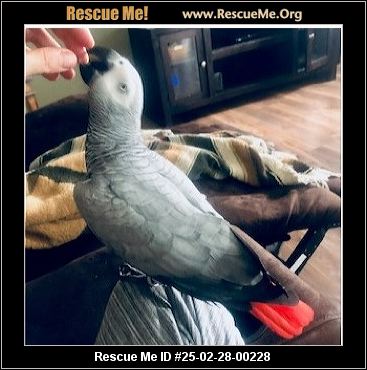 - Pennsylvania Pet Bird Rescue - ADOPTIONS - Rescue Me!