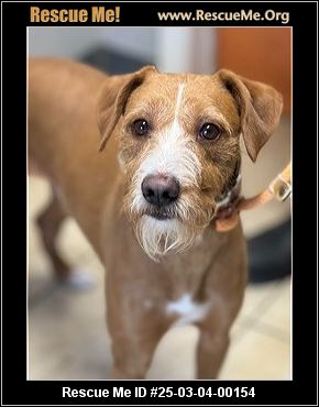 - New Jersey Dog Rescue - ADOPTIONS - Rescue Me!