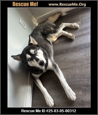 - Oregon Dog Rescue - ADOPTIONS - Rescue Me!