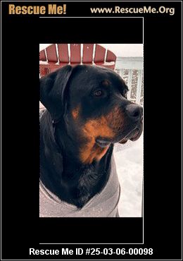 - New York Dog Rescue - ADOPTIONS - Rescue Me!