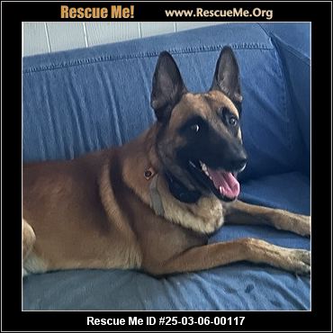 - New Jersey Dog Rescue - ADOPTIONS - Rescue Me!