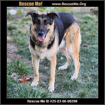 - Nevada Dog Rescue - ADOPTIONS - Rescue Me!