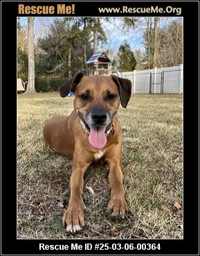 - New Jersey Dog Rescue - ADOPTIONS - Rescue Me!