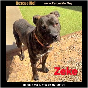 - Arizona Boxer Rescue - ADOPTIONS - Rescue Me!