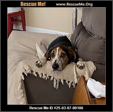 - Indiana Dog Rescue - ADOPTIONS - Rescue Me!