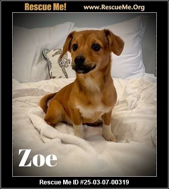 - Georgia Dog Rescue - ADOPTIONS - Rescue Me!