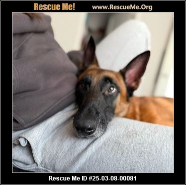 - Wisconsin Dog Rescue - ADOPTIONS - Rescue Me!