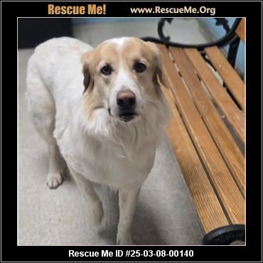 - Texas Mutt Rescue - ADOPTIONS - Rescue Me!