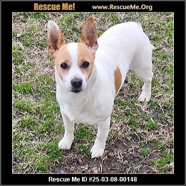 - Texas Mutt Rescue - ADOPTIONS - Rescue Me!