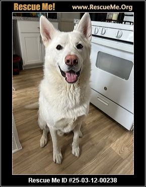 - New York Dog Rescue - ADOPTIONS - Rescue Me!