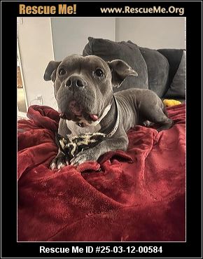 - Delaware Dog Rescue - ADOPTIONS - Rescue Me!