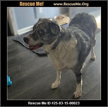 - Nebraska Dog Rescue - ADOPTIONS - Rescue Me!