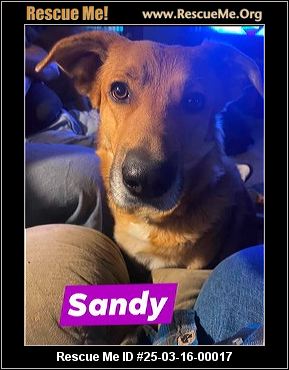 - Wisconsin Dog Rescue - ADOPTIONS - Rescue Me!