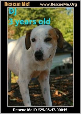 - Alabama Boxer Rescue - ADOPTIONS - Rescue Me!