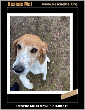 - New Jersey Dog Rescue - ADOPTIONS - Rescue Me!