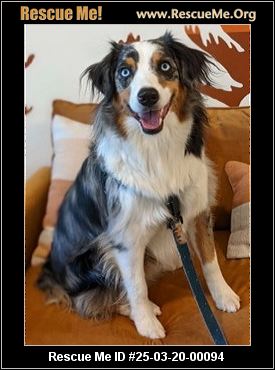 - Oregon Dog Rescue - ADOPTIONS - Rescue Me!