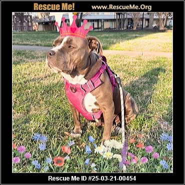 - North Carolina Dog Rescue - ADOPTIONS - Rescue Me!