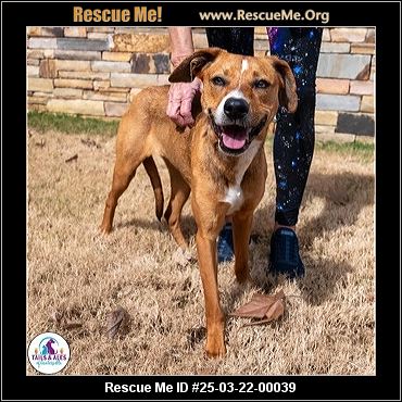 - Alabama Dog Rescue - ADOPTIONS - Rescue Me!