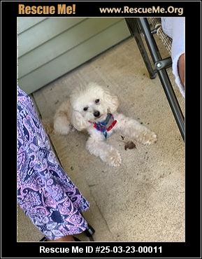 - New Jersey Dog Rescue - ADOPTIONS - Rescue Me!