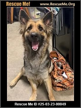 - Texas Mutt Rescue - ADOPTIONS - Rescue Me!