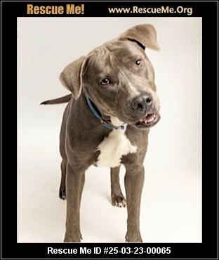 - Texas Mutt Rescue - ADOPTIONS - Rescue Me!