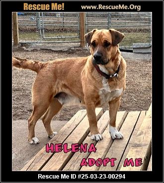 - Oklahoma Dog Rescue - ADOPTIONS - Rescue Me!