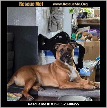 - Oregon Dog Rescue - ADOPTIONS - Rescue Me!