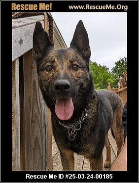 - New Jersey Dog Rescue - ADOPTIONS - Rescue Me!