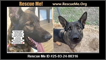 - Virginia Dog Rescue - ADOPTIONS - Rescue Me!