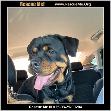 - Wisconsin Rottweiler Rescue - ADOPTIONS - Rescue Me!