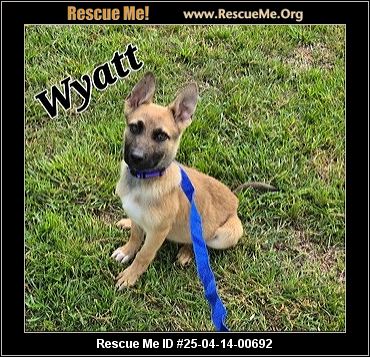 - Georgia German Shepherd Rescue - ADOPTIONS - Rescue Me!