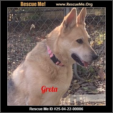 - Indiana German Shepherd Rescue - ADOPTIONS - Rescue Me!