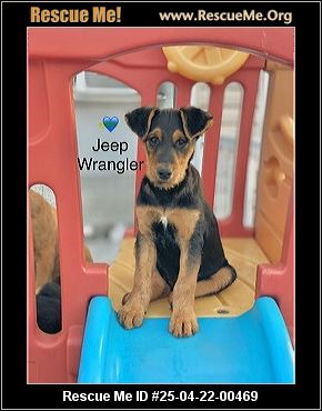 - Delaware Dog Rescue - ADOPTIONS - Rescue Me!