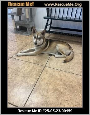 - Wills Way Dog Rescue - Boca Raton, FL - AVAILABLE PETS