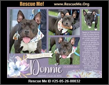 - New York Dog Rescue - ADOPTIONS - Rescue Me!